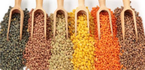 Cooking and preservation of your pulses - Adascan Grain Corporation
