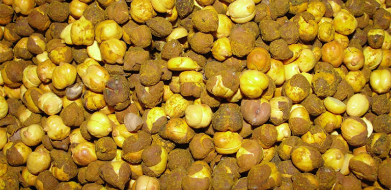 Pulses From An Indian Perspective And Health Benefits - Adascan Grain ...
