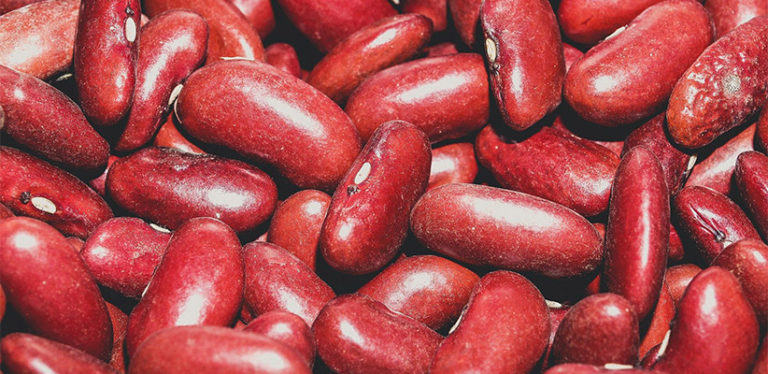 How to Soak and Freeze your Red Kidney Beans - Adascan Grain Corporation